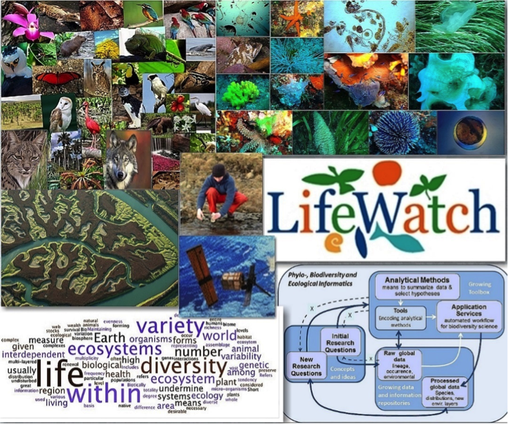 LifeWatch – IberGrid – IBERIAN GRID INFRASTRUCTURE